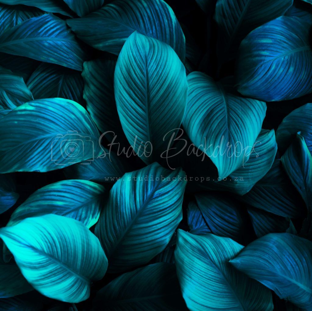 Floral – Studio Backdrops