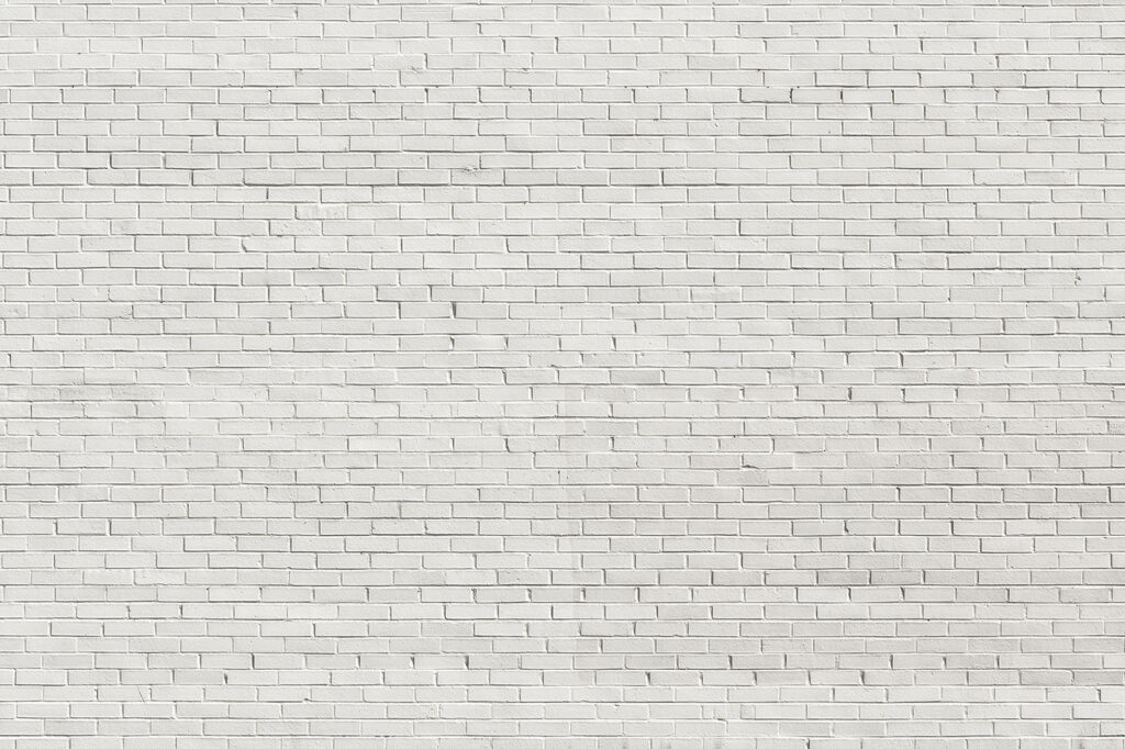 WALL53 Simple White Brick Wall – Studio Backdrops