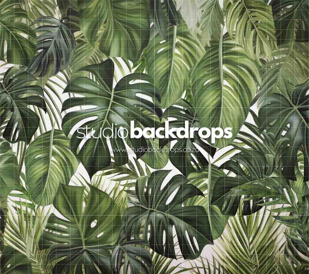 RENTAL98: FLORAL21 Tropical Leaves – Studio Backdrops